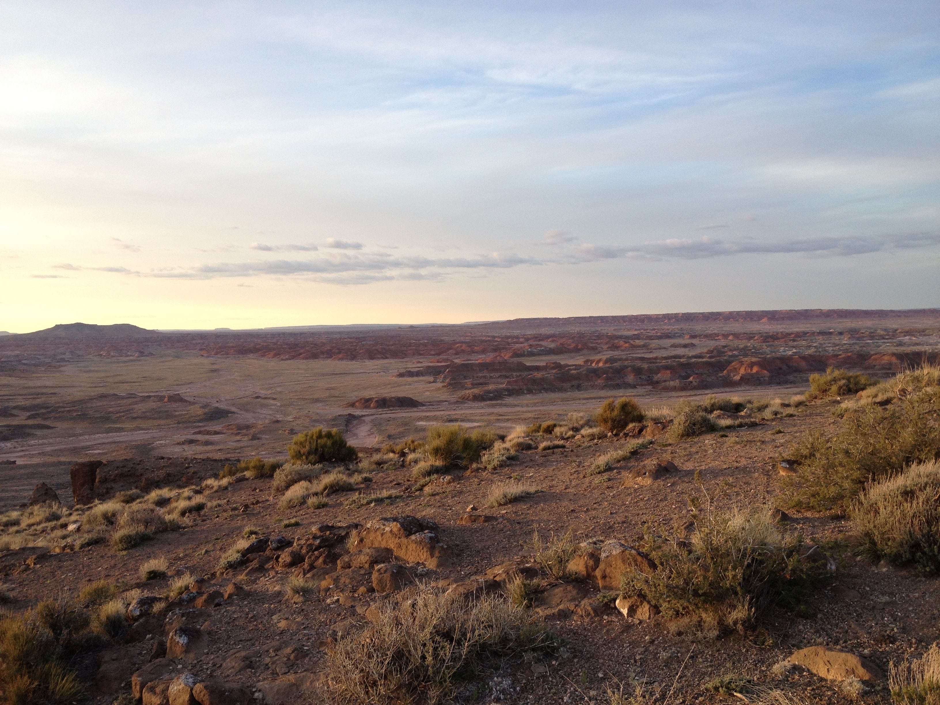 Mark Hazleton - Solutions Architect & Technology Leader